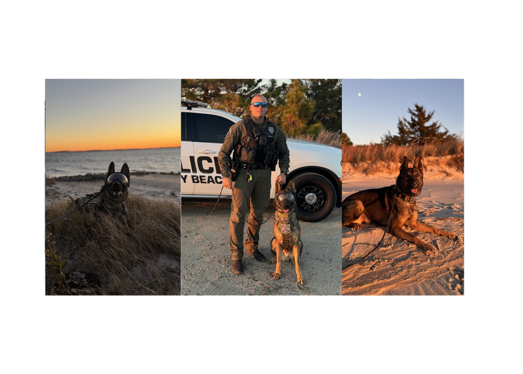 Dewey Beach Delaware Police Department - K9 Unit